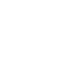 First Legal - Legal Support Services from File Thru Trial™